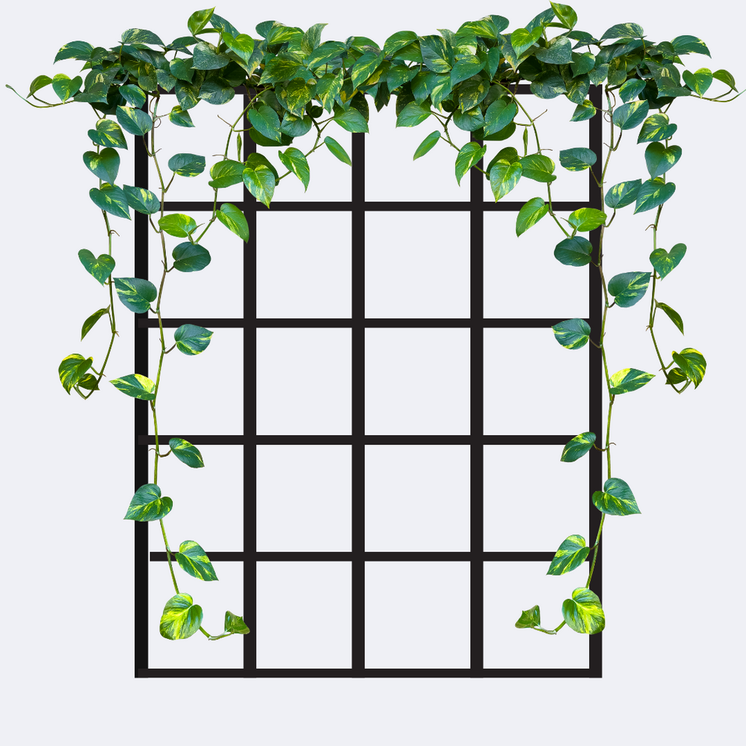 Outdoor Trellis – S2N Industries