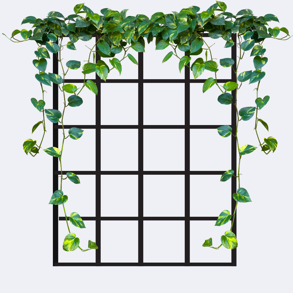 Classic Square Grid Trellis - Stand Alone – S2N Industries