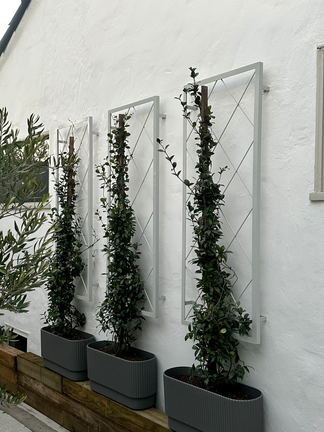 Heavy Gauge Diamond Pattern Wall-Mounted Metal Trellises, Architectural ...