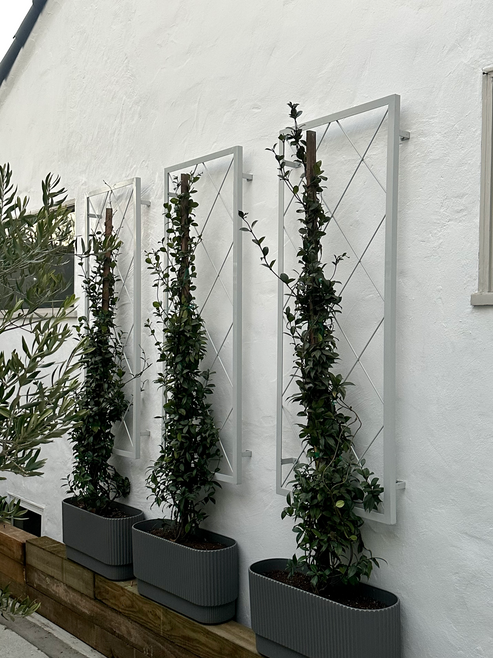 Heavy Gauge Diamond Trellis, Wall Mounted Metal Custom Diamond ...