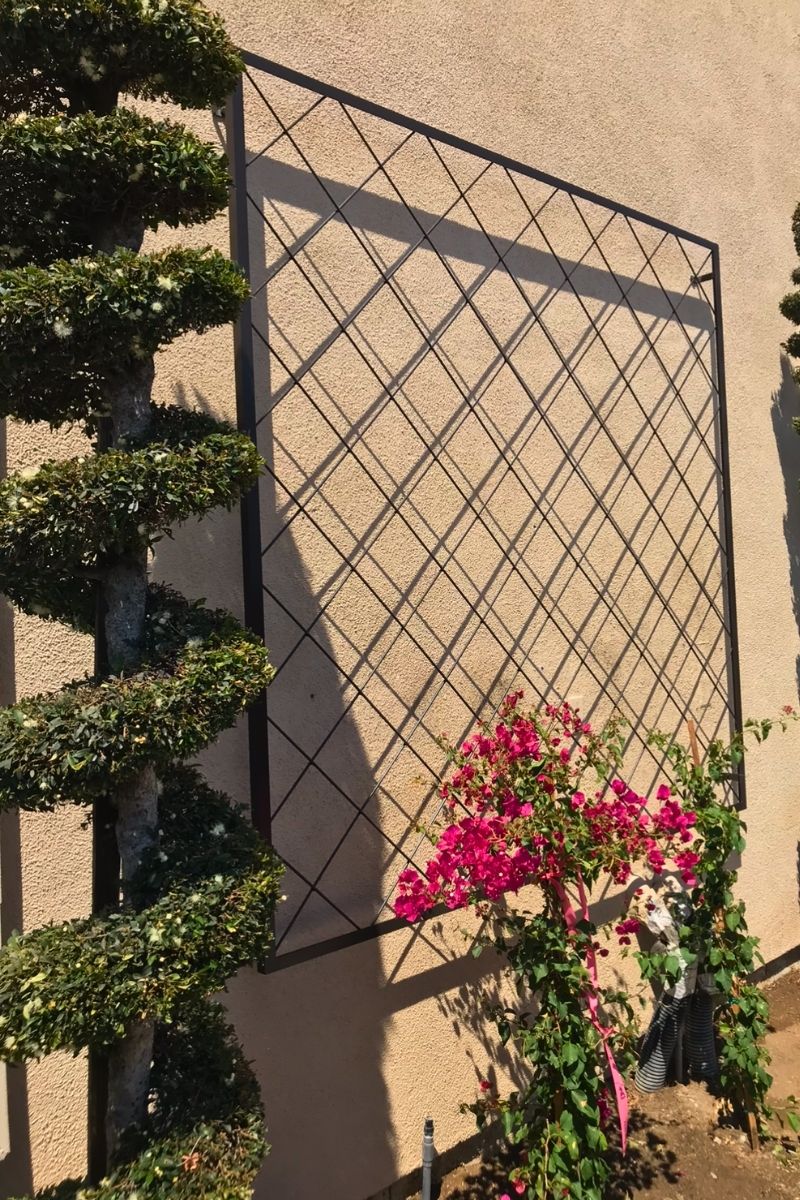 Heavy Gauge Diamond Trellis, Wall Mounted Metal Custom Diamond Trellises, Architectural Metal ...