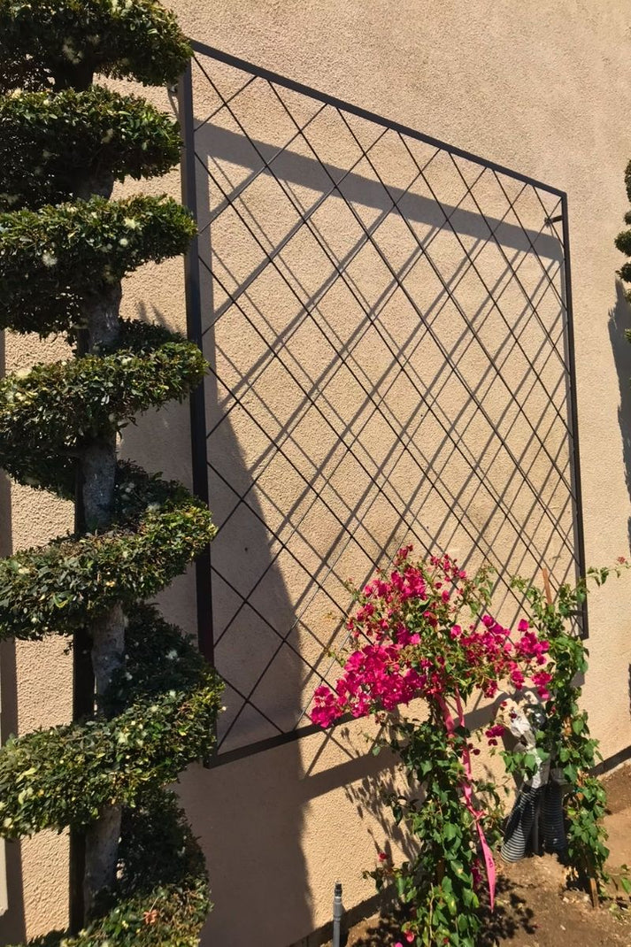 Heavy Gauge Diamond Trellis, Wall Mounted Metal Custom Diamond ...