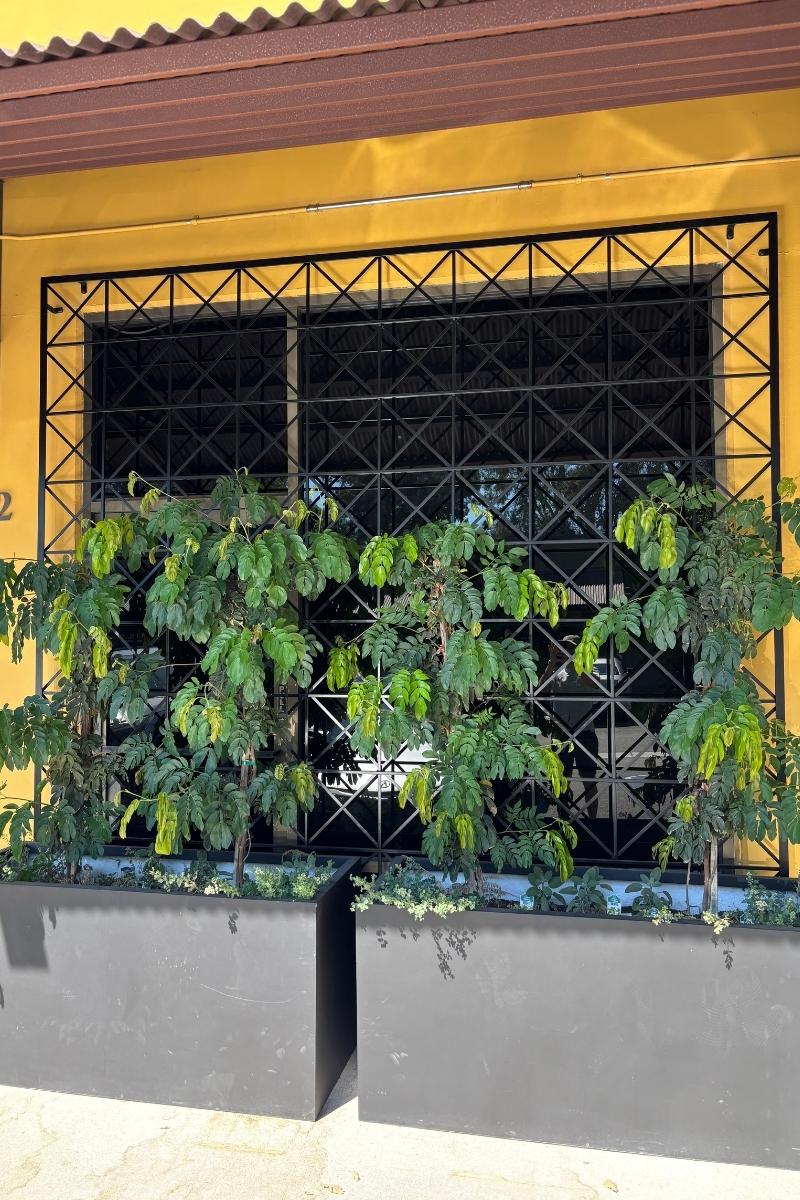 Barn Style Outdoor Wall Trellis, Easy Install Plant Trellis Plant ...