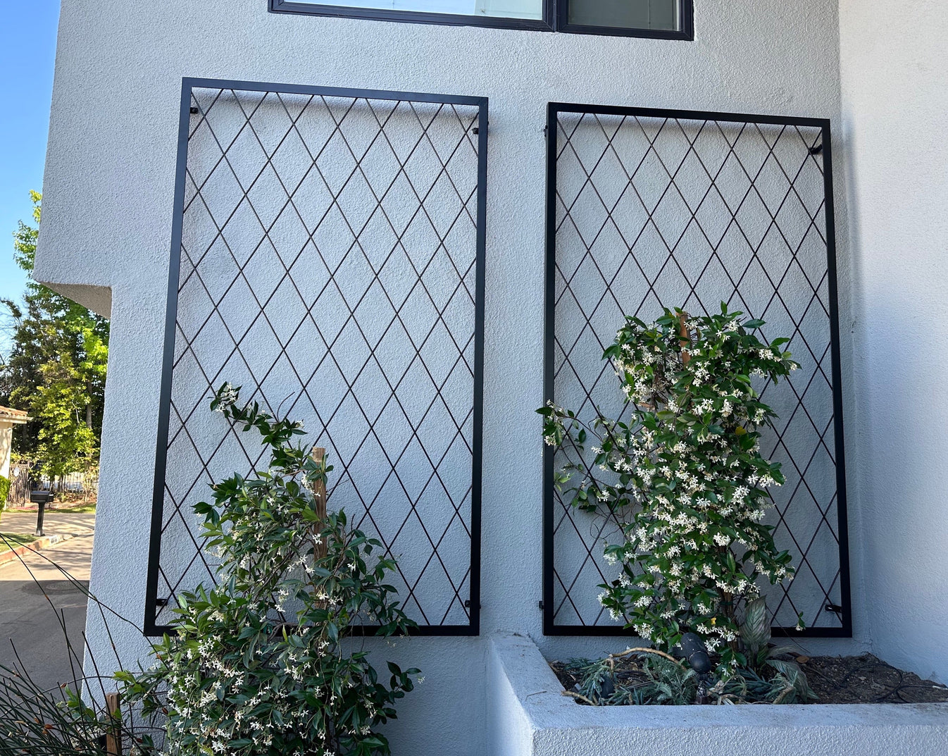 Heavy Gauge Diamond Trellis, Wall Mounted Metal Custom Diamond ...