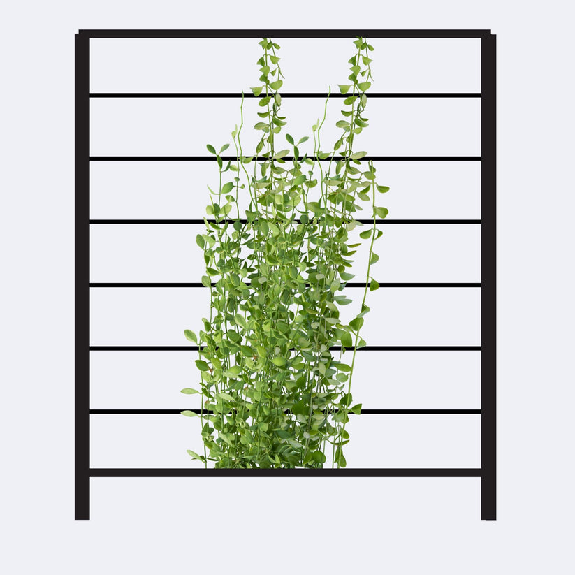 Horizontal Bar Metal Trellis, Stand Alone Metal Garden Trellis, Easy ...