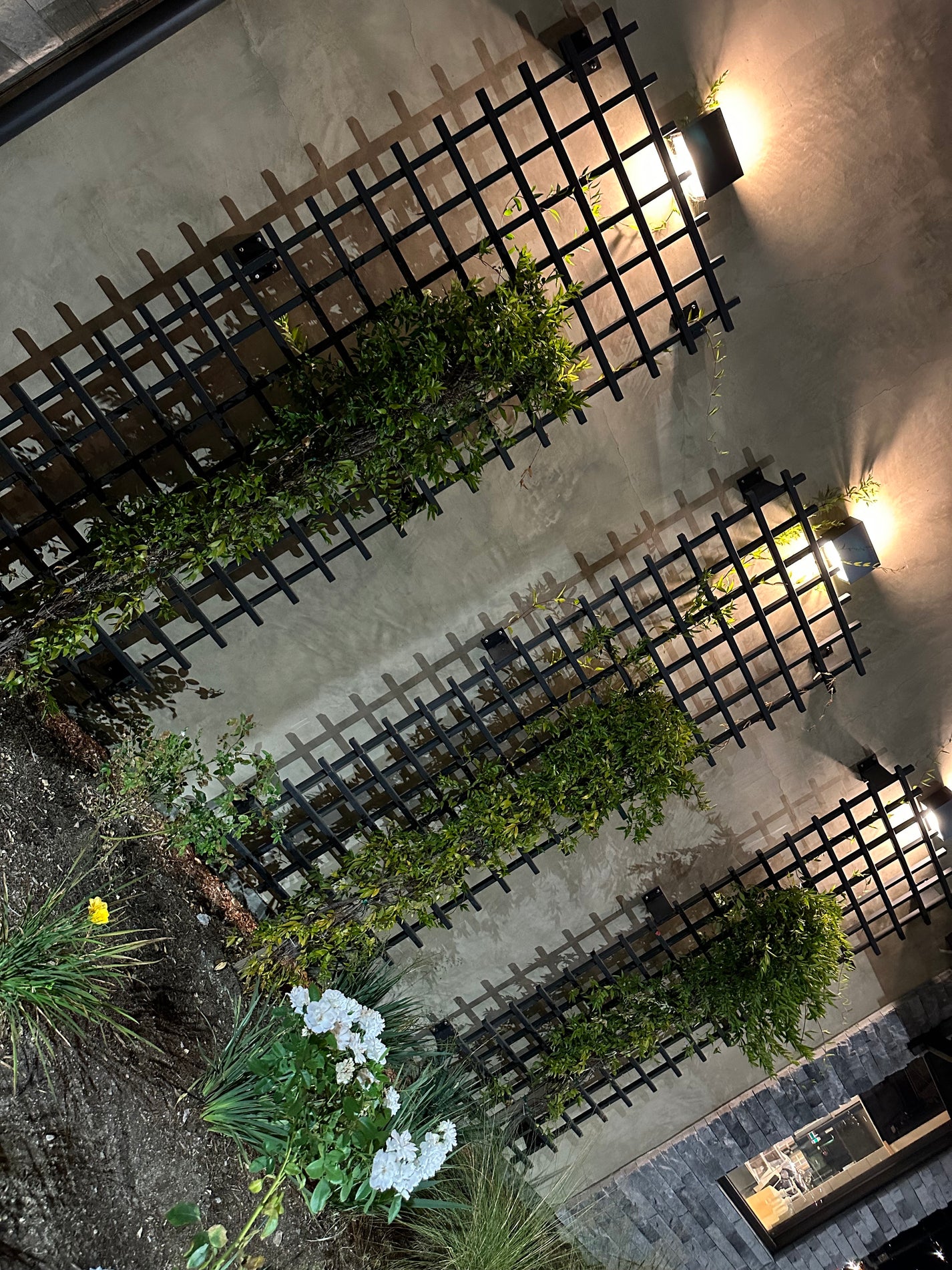 Modern Square Tube Grid Trellis, Wall Mounted Trellis Outdoor Garden ...