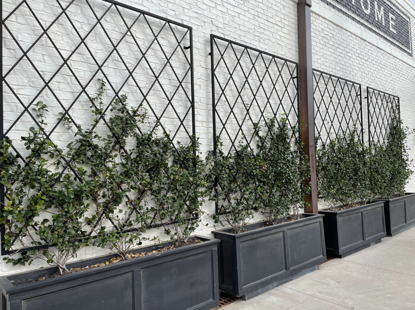 Heavy duty Wrought Iron Trellis, Tall Rhombus Diamond Trellis Wall ...