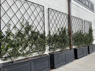 Heavy Gauge Diamond Pattern Wall-Mounted Metal Trellises, Architectural ...