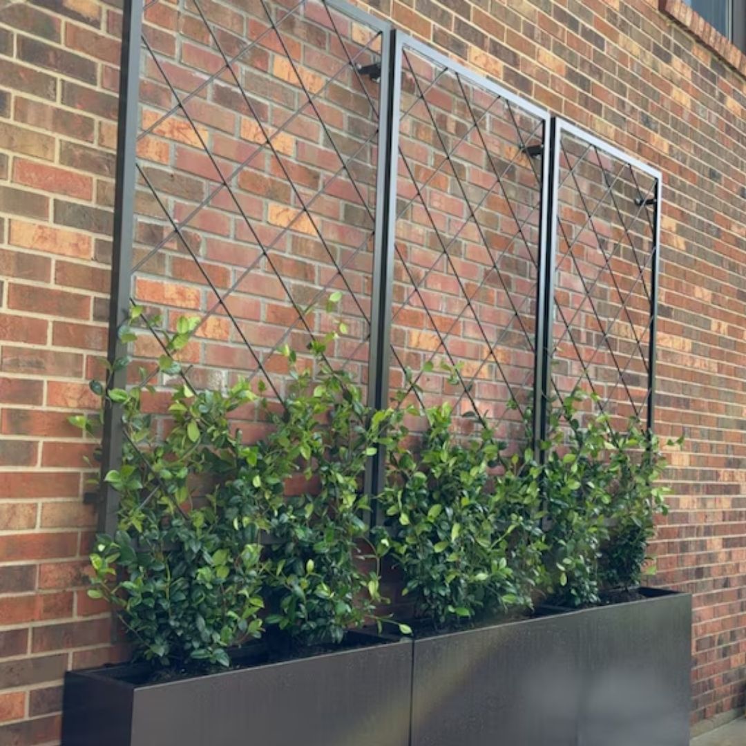 Heavy Gauge Diamond Pattern Freestanding Trellis, Diamond Trellis Fence ...