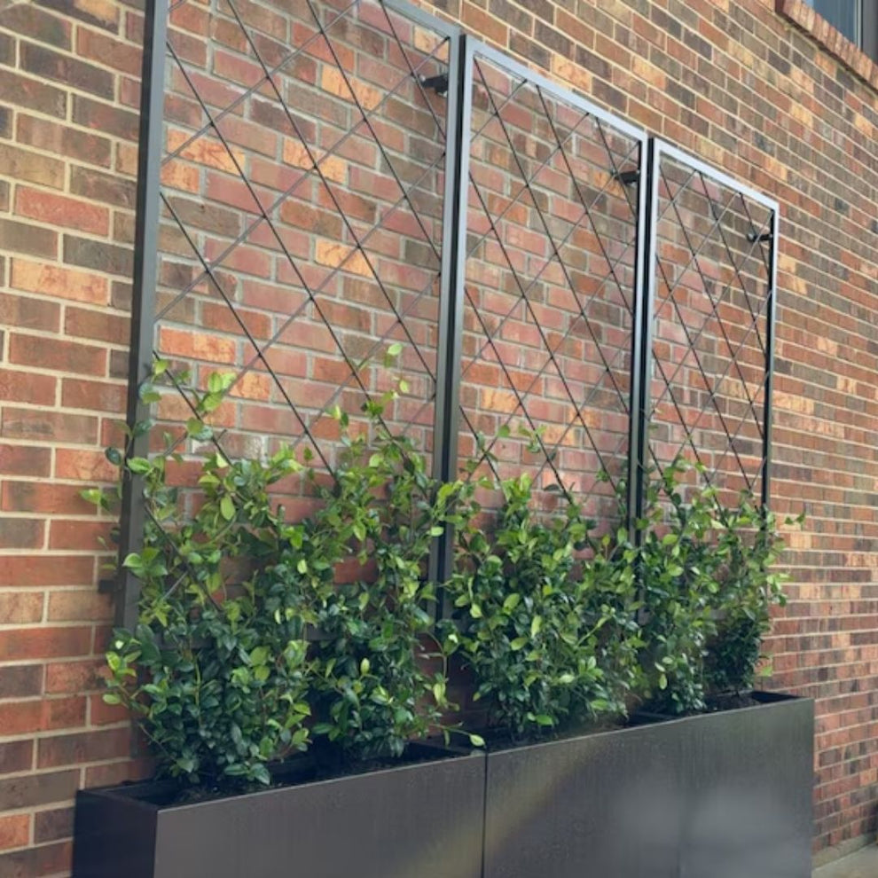 Heavy Gauge Diamond Trellis, Wall Mounted Metal Custom Diamond ...