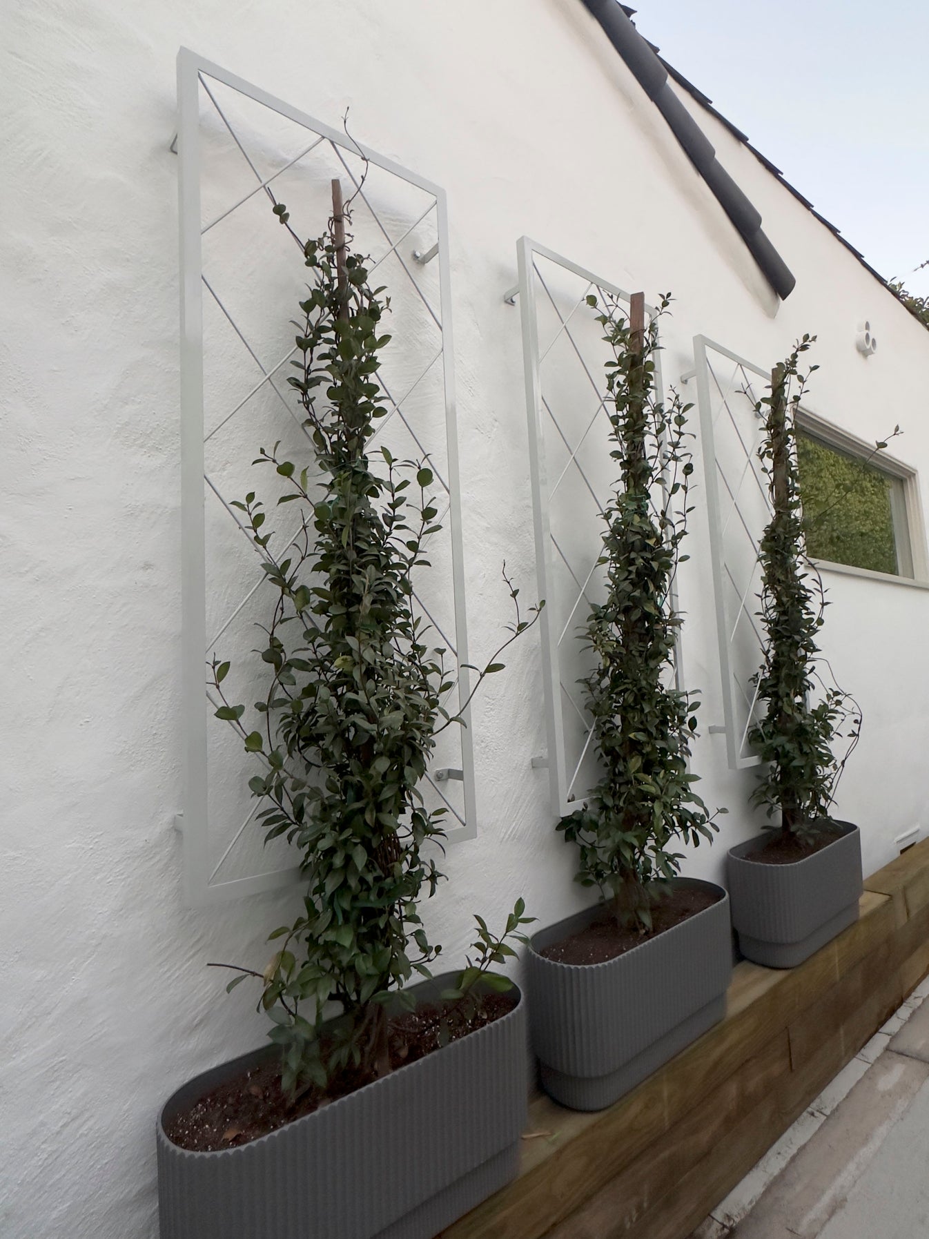 Heavy Gauge Diamond Pattern Freestanding Trellis, Diamond Trellis Fence ...