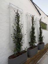 Heavy Gauge Diamond Pattern Wall-Mounted Metal Trellises, Architectural ...