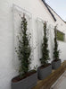 Heavy Gauge Diamond Pattern Wall-Mounted Metal Trellises, Architectural ...