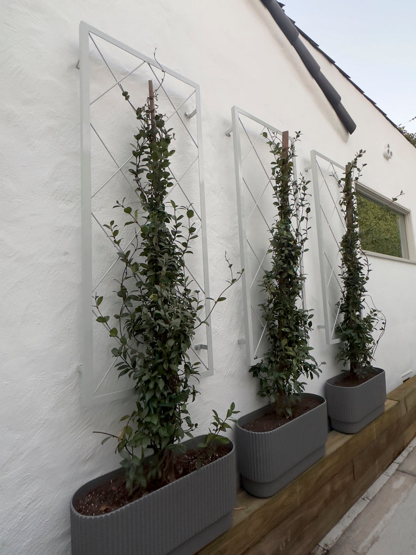 Heavy Gauge Diamond Trellis, Wall Mounted Metal Custom Diamond ...