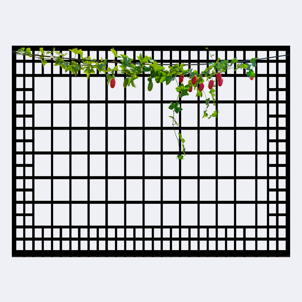 Multi Size Square Grid Trellis Wall Mounted / Staked, Gridwall Panels ...