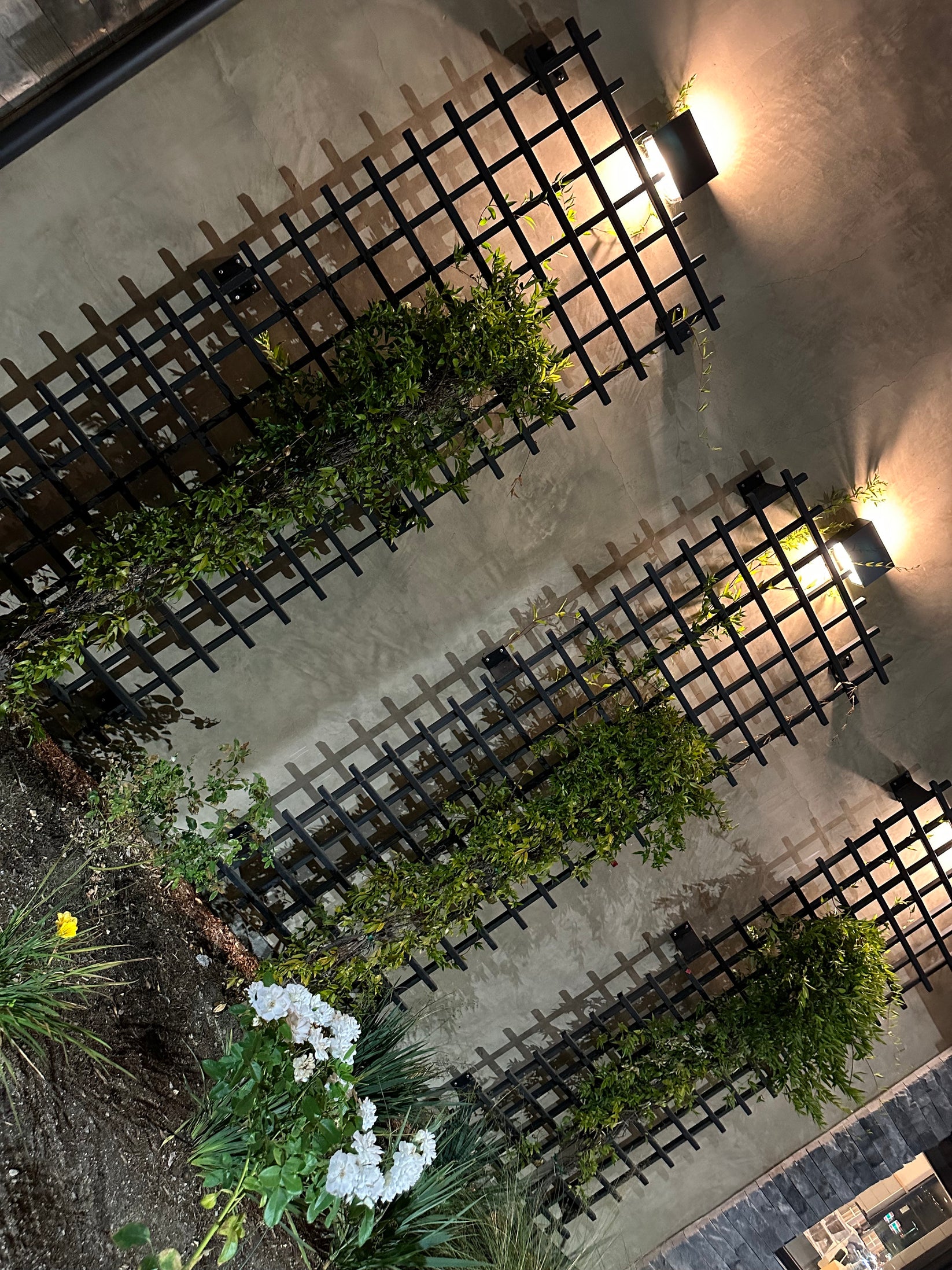 Modern Square Tube Grid Stand Alone Trellis, Square Grid Trellis Fence ...