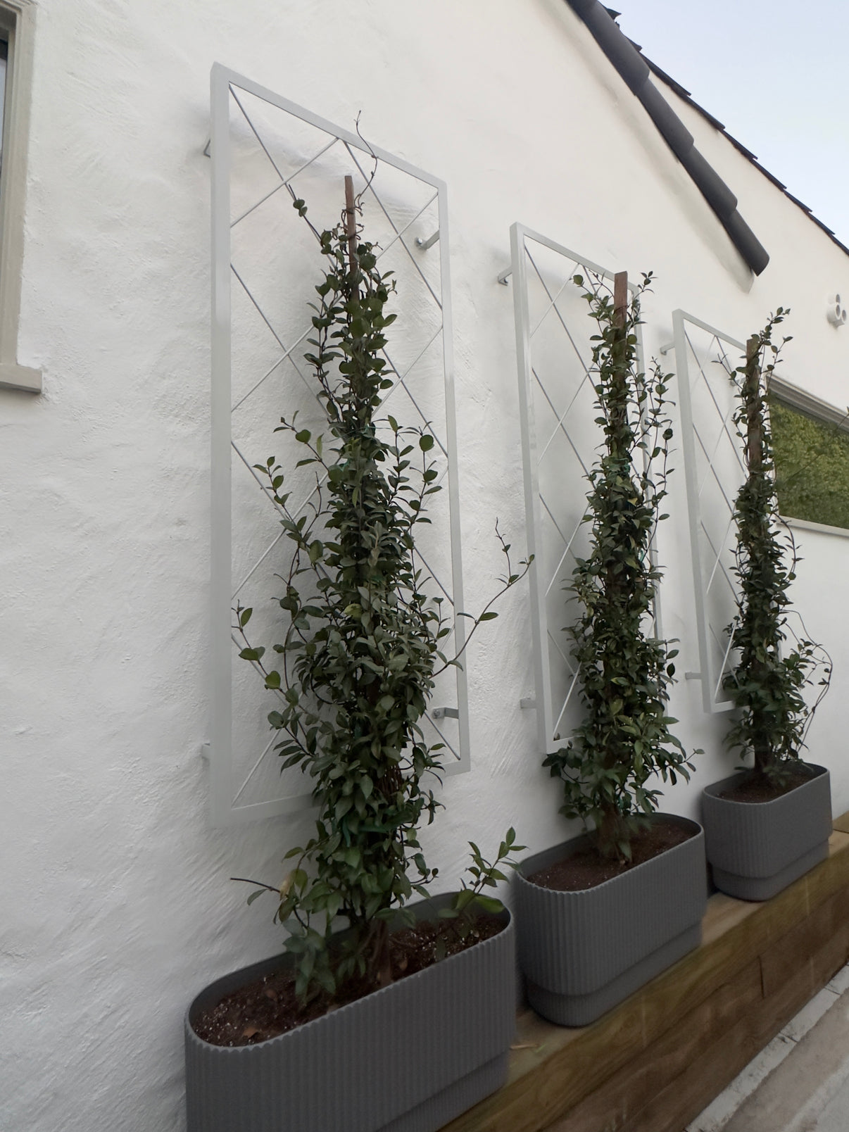 Heavy Gauge Diamond Pattern Freestanding Trellis, Diamond Trellis Fence ...