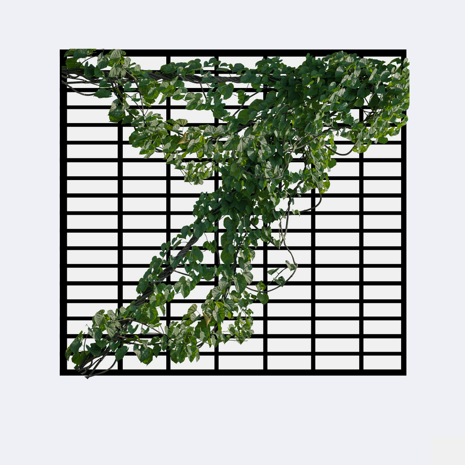 Wall Mounted Metal Garden Trellis - S2N Industries