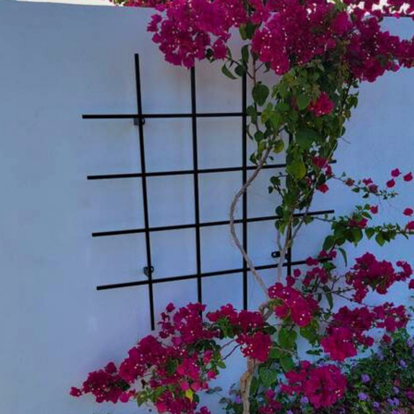 Custom Size Frameless Ladder Trellis, Climbing Lattice For Plants Metal ...