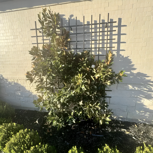 Modern Square Tube Grid Trellis, Wall Mounted Trellis Outdoor Garden ...