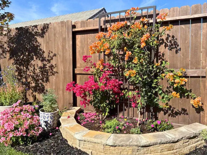 Modern Urban Overlap Square Grid Metal Garden Trellis Staked Garden ...