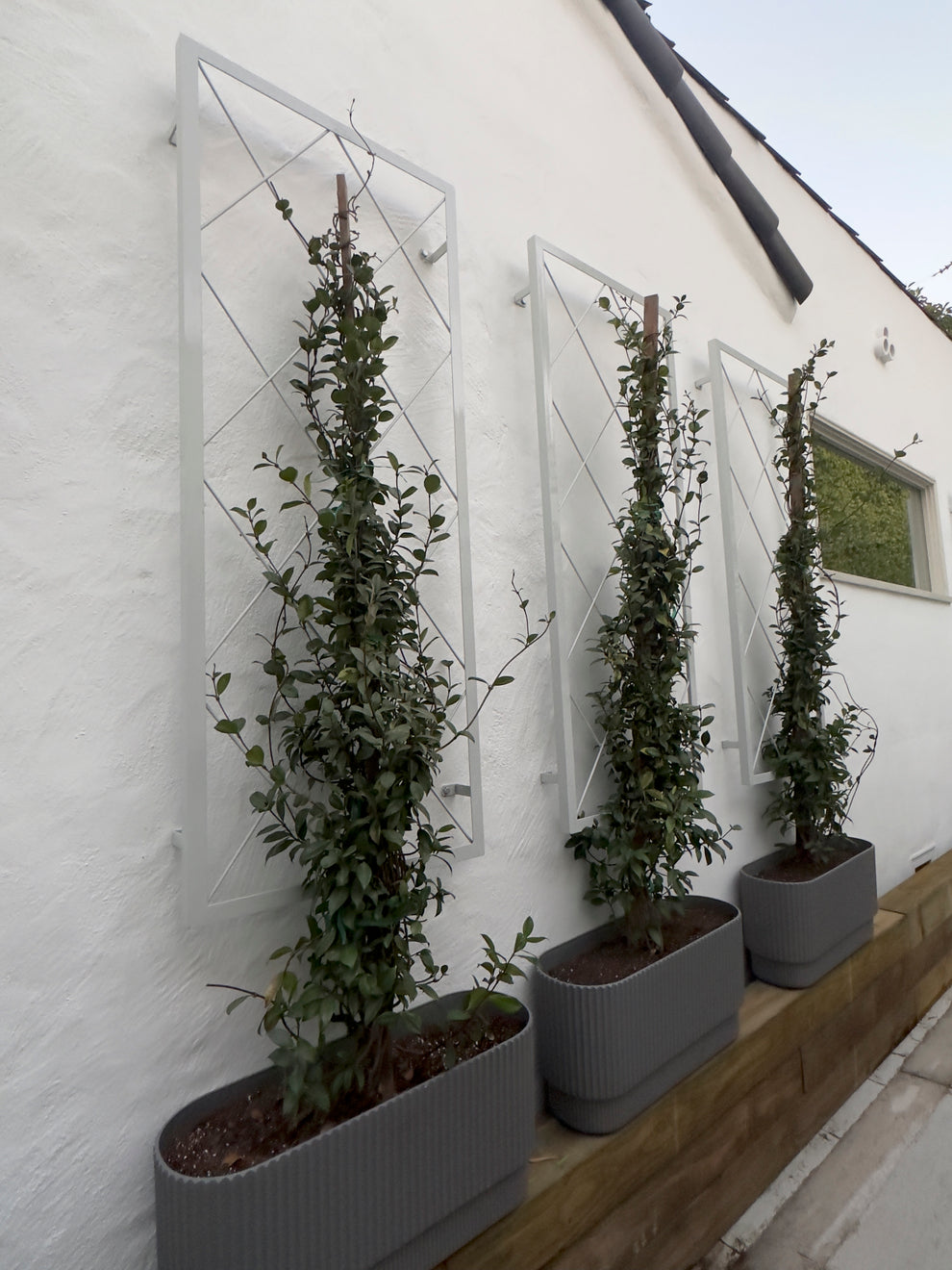 Heavy Gauge Diamond Pattern Wall-Mounted Metal Trellises, Architectural ...