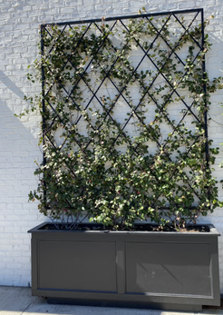 Heavy Gauge Diamond Pattern Wall-Mounted Metal Trellises, Architectural ...