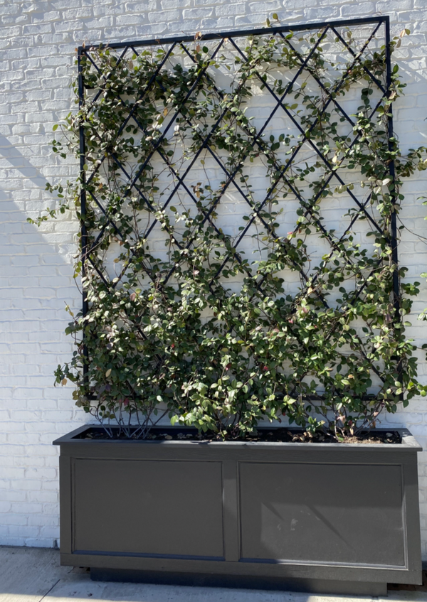 Heavy Gauge Diamond Trellis, Wall Mounted Metal Custom Diamond ...