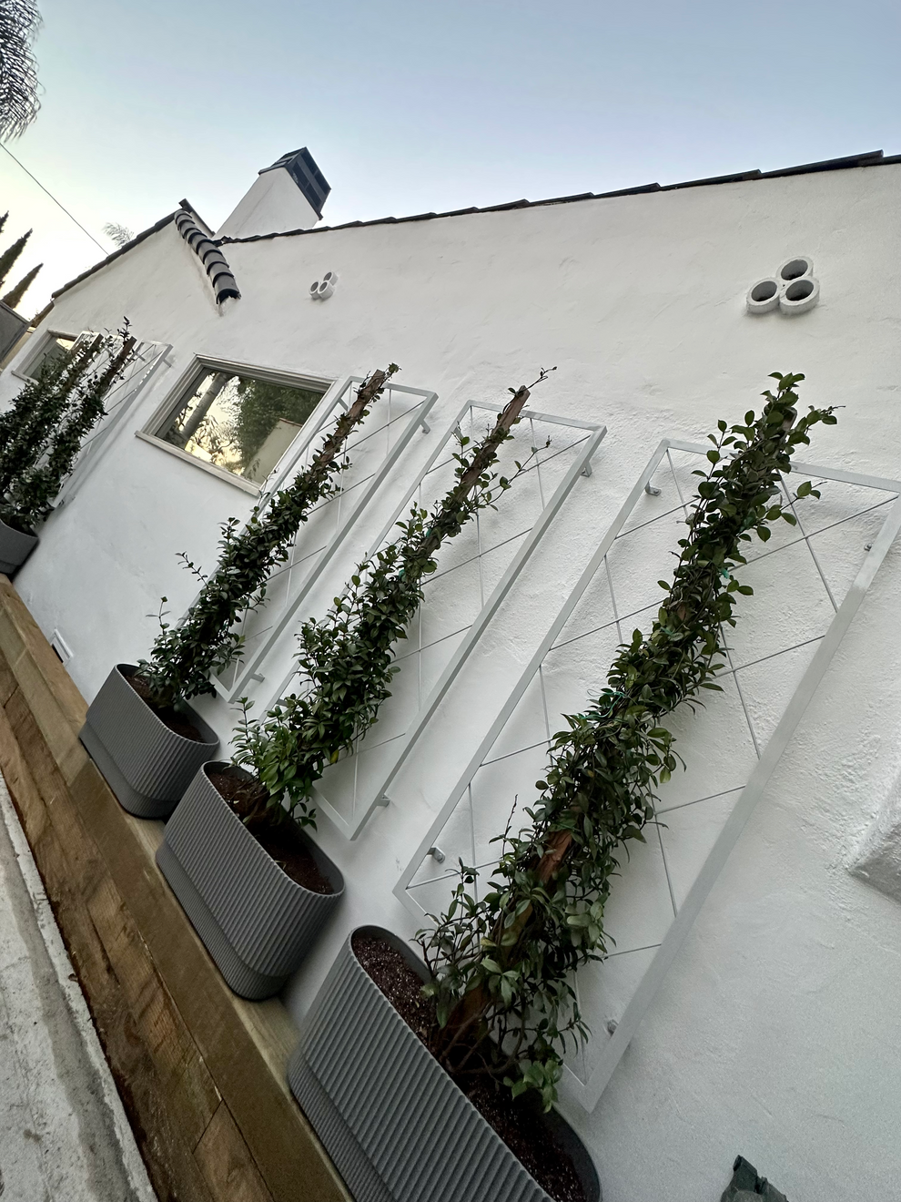 Heavy Gauge Diamond Pattern Wall-Mounted Metal Trellises, Architectural ...